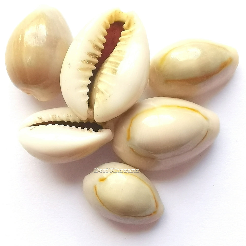 Kavadi / Kawadi / Cowrie – Desi Khazana