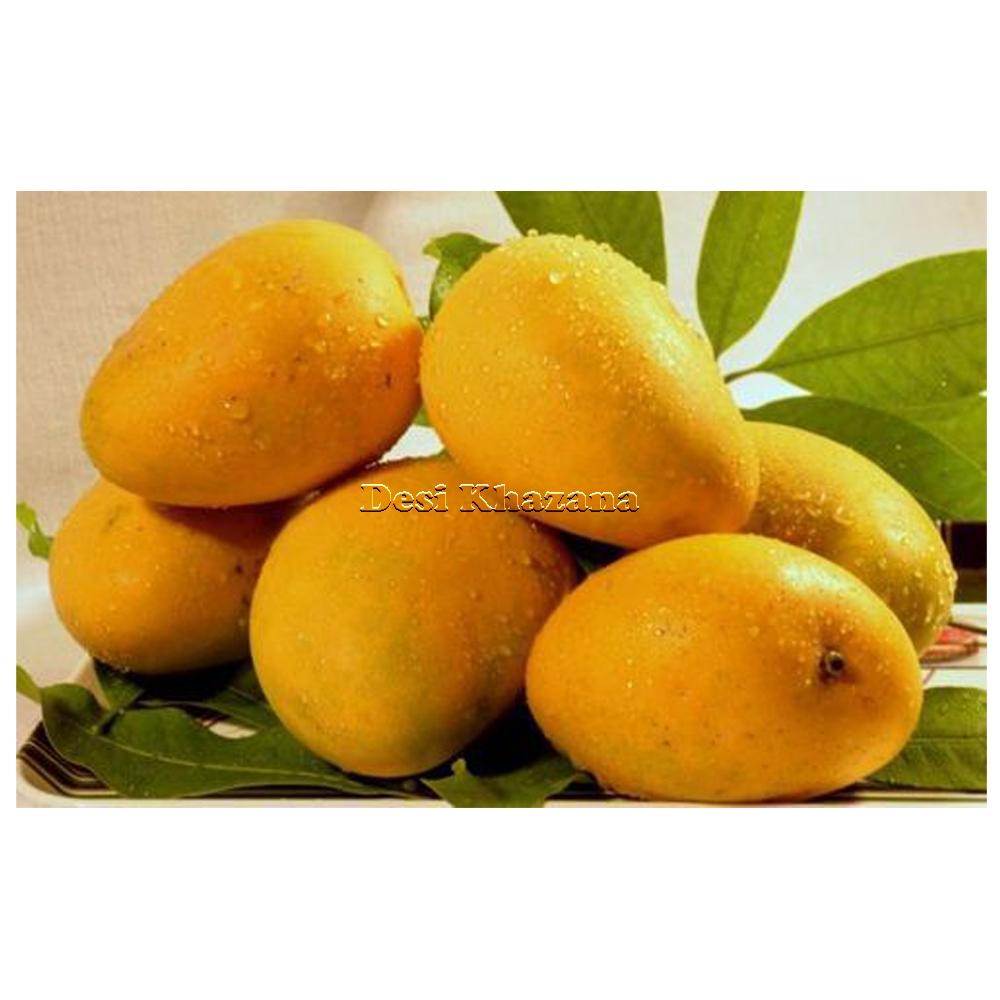 Alphonso Mangoes (10 Qty) – Desi Khazana